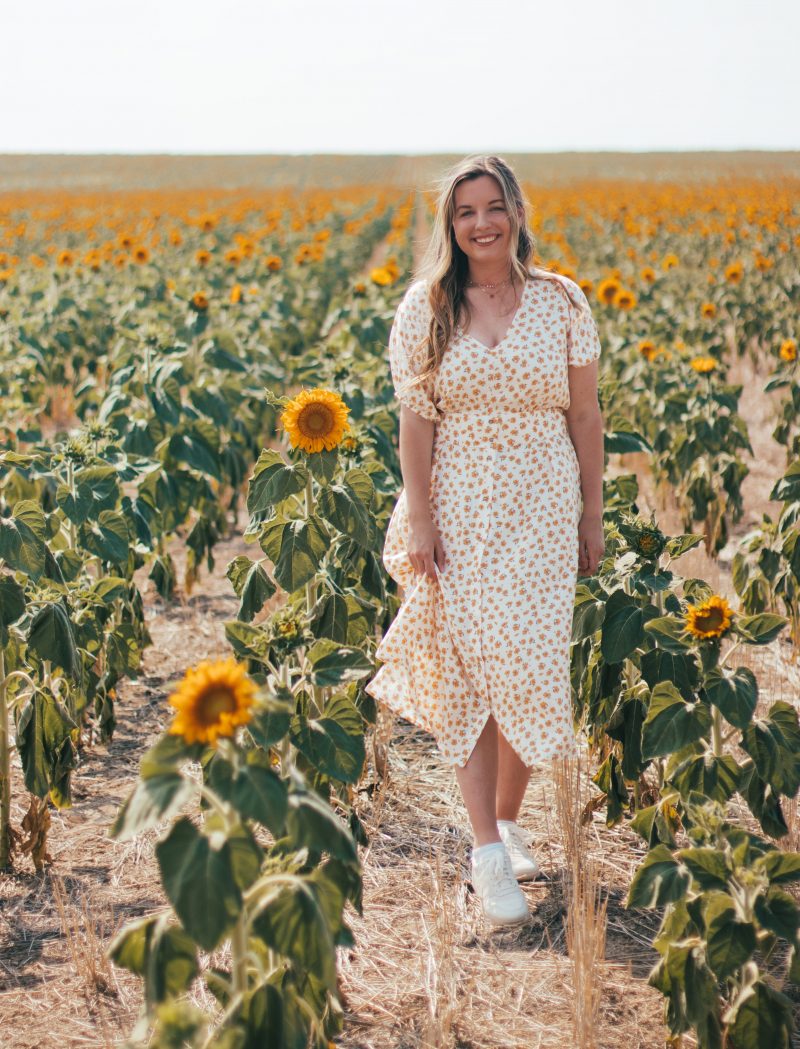 THE MOST BEAUTIFUL SUNFLOWERS - Liv Colorful